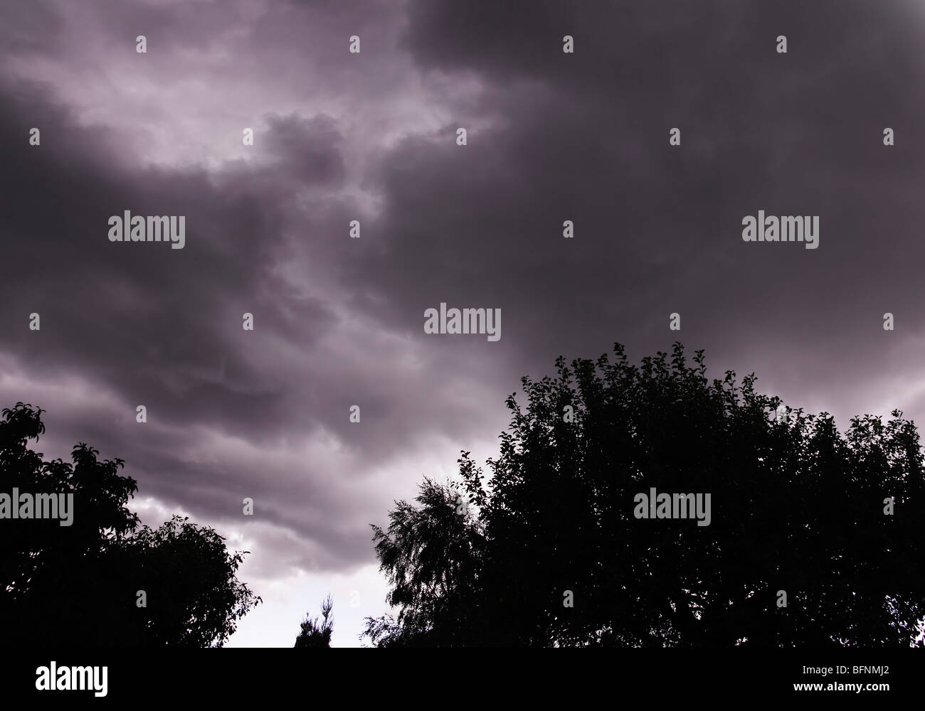 storm clouds above trees Stock Photo - Alamy