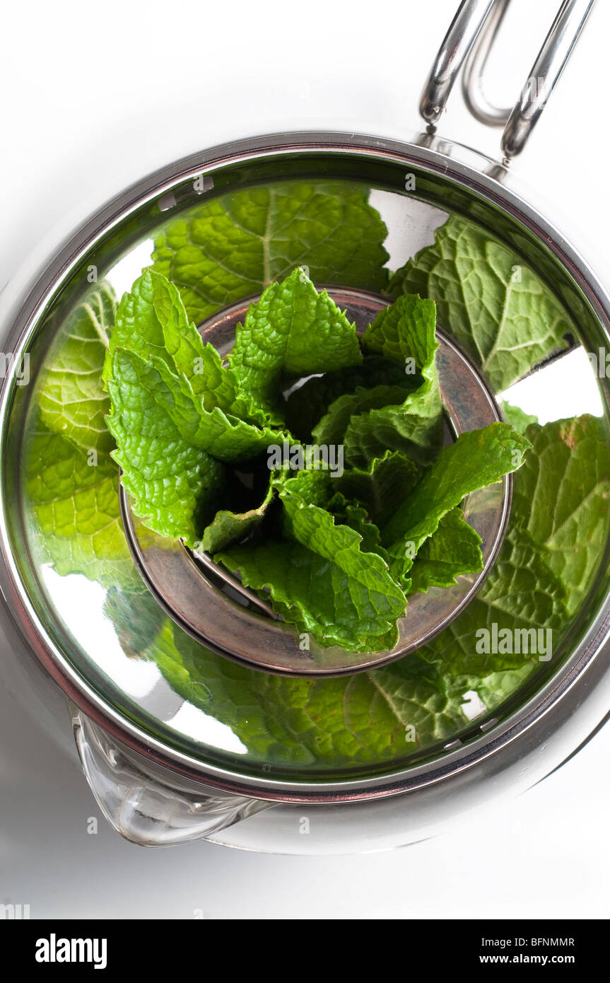 Silver tea pot mint hi-res stock photography and images - Alamy