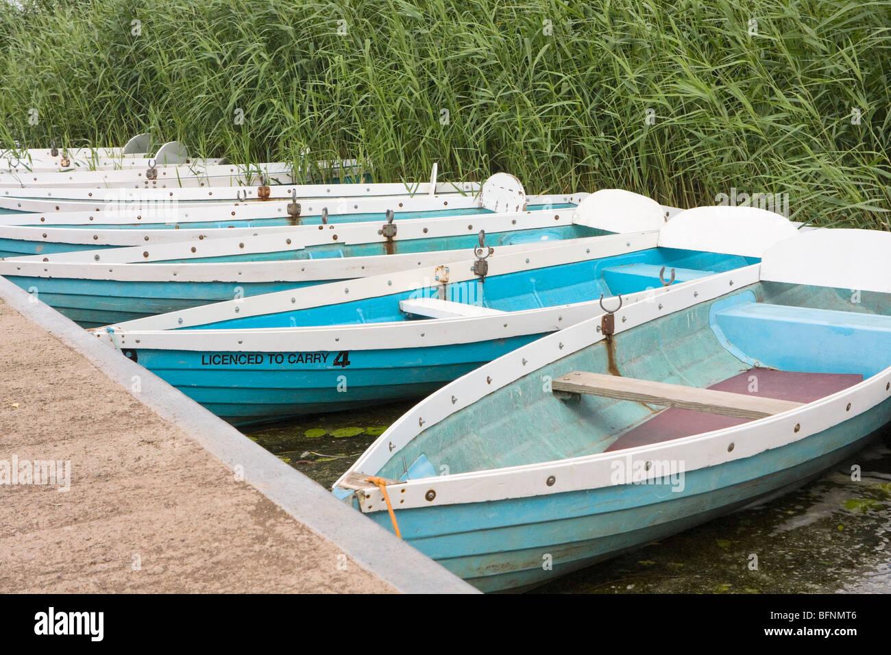 Rowing row hi-res stock photography and images - Alamy