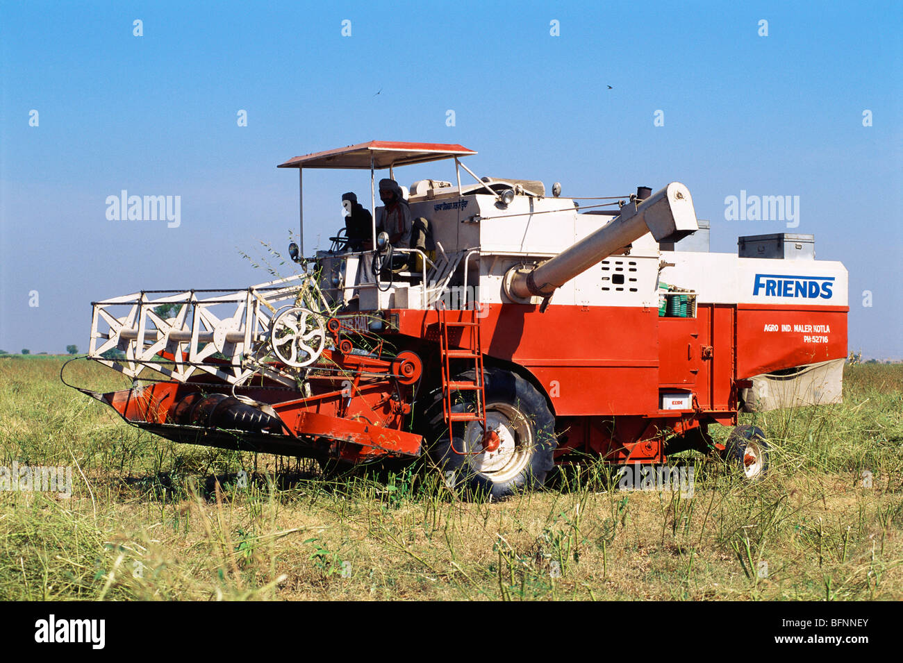Combine harvester in red beans field ; Solapur ; Maharashtra ; India ...