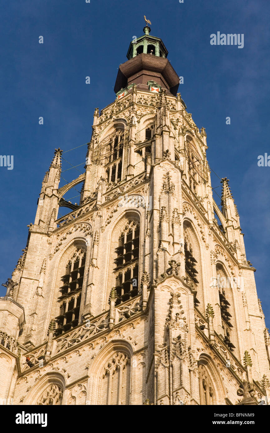 The 97 metre high tower of the Grote Kerk, the chief landmark of the ...