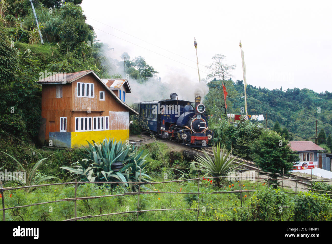 Front view famous darjeeling hi-res stock photography and images - Alamy