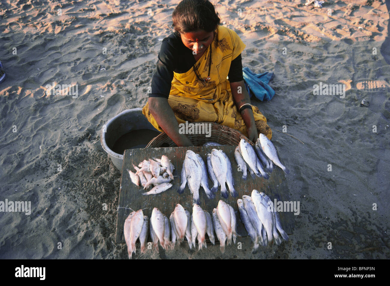 Woman selling fish ; Versova ; Andheri ; Bombay ; Mumbai ; Maharashtra ...