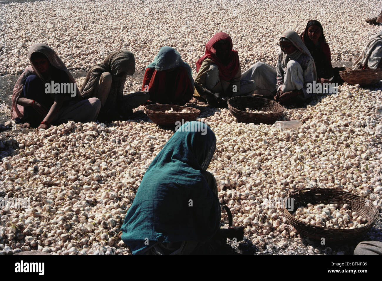 Primary color grading hi-res stock photography and images - Alamy