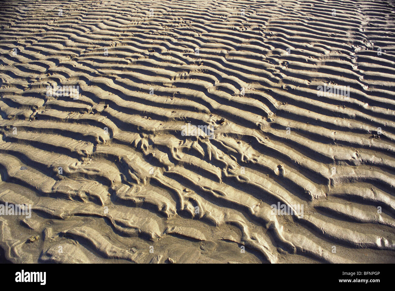 Beach sand pattern ripples texture ; Chidiya tapu beach ; Port Blair ...