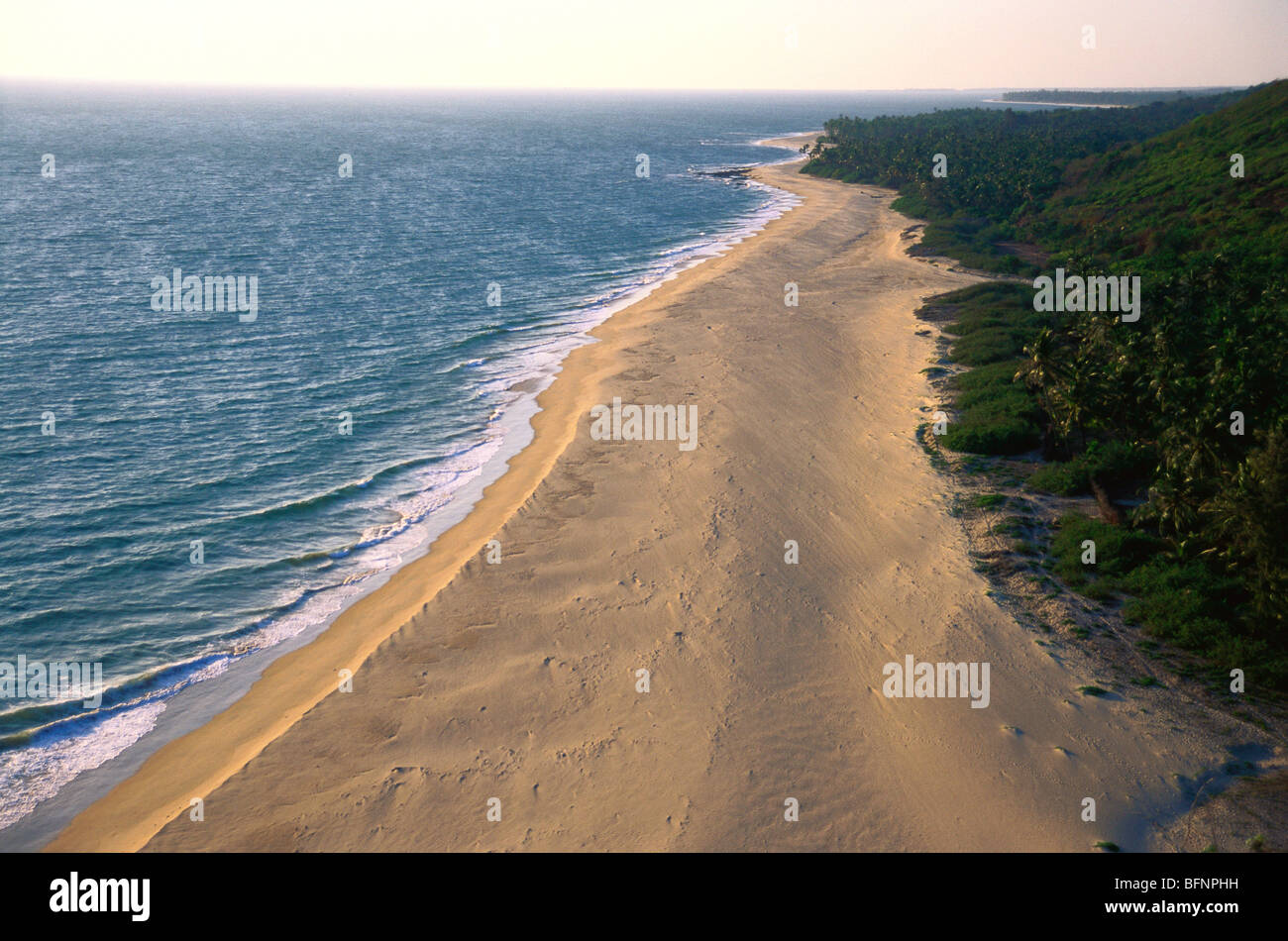 Kudal hi-res stock photography and images - Alamy