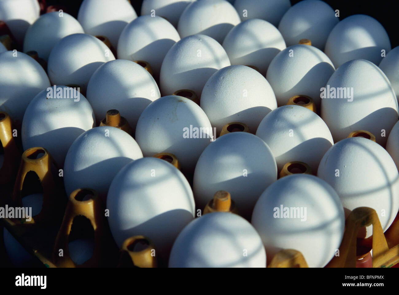 Plastic eggs hi-res stock photography and images - Alamy