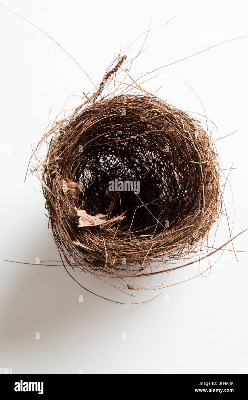 Round nests hi-res stock photography and images - Alamy