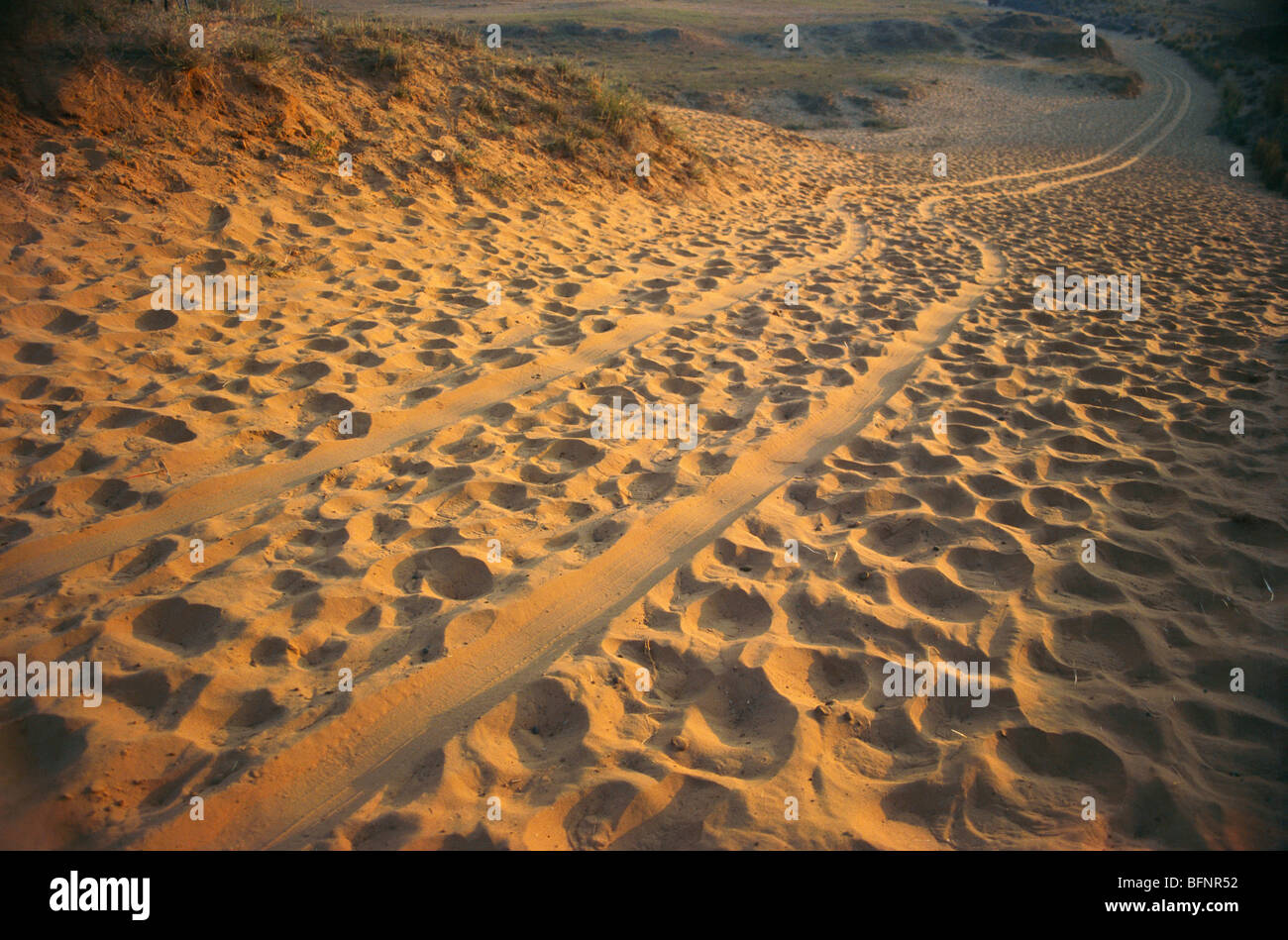 Undulation Road Stock Photos & Undulation Road Stock Images - Alamy