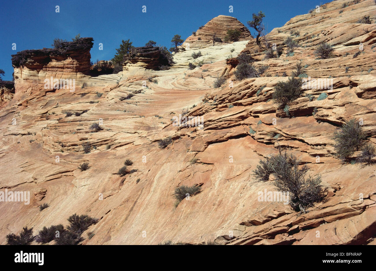 Zion Canyon’s steep red cliffs ; Zion National Park ; Utah ; United ...