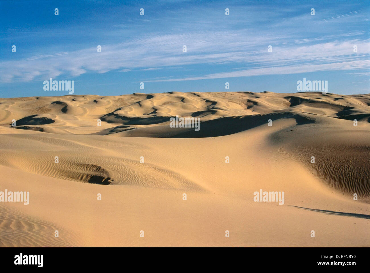 Thar Desert ; Sand Dunes ; Khuri ; Jaisalmer ; Rajasthan ; India ; asia ...