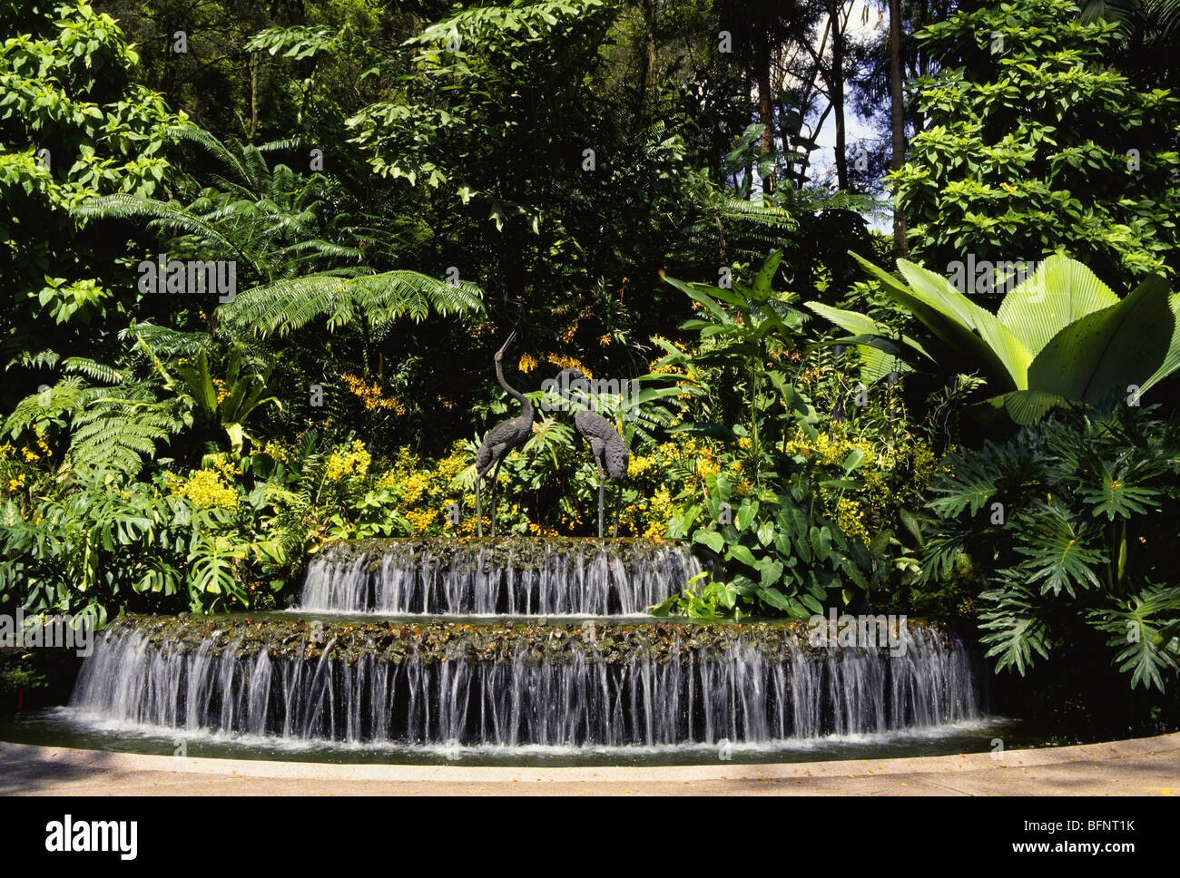 Waterfall man made ; Botanic Garden ; Singapore ; Asia Stock Photo - Alamy