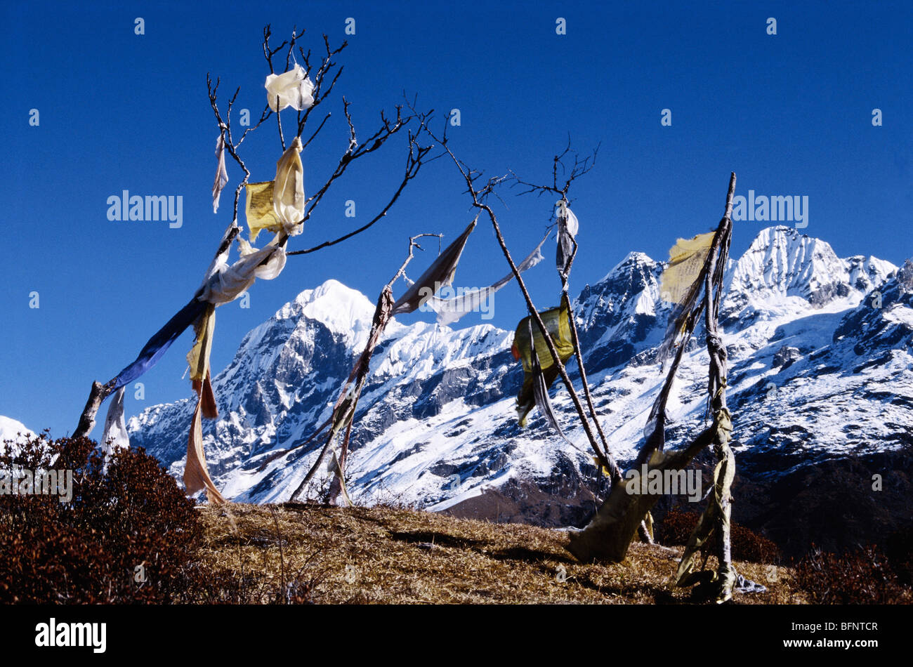 Mount pandim hi-res stock photography and images - Alamy