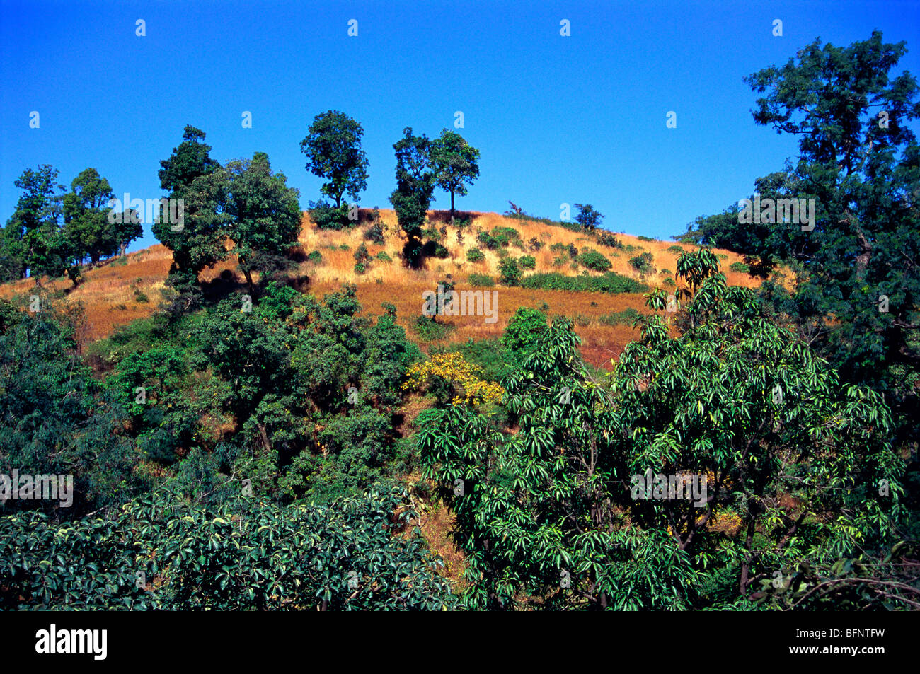Melghat hi-res stock photography and images - Alamy