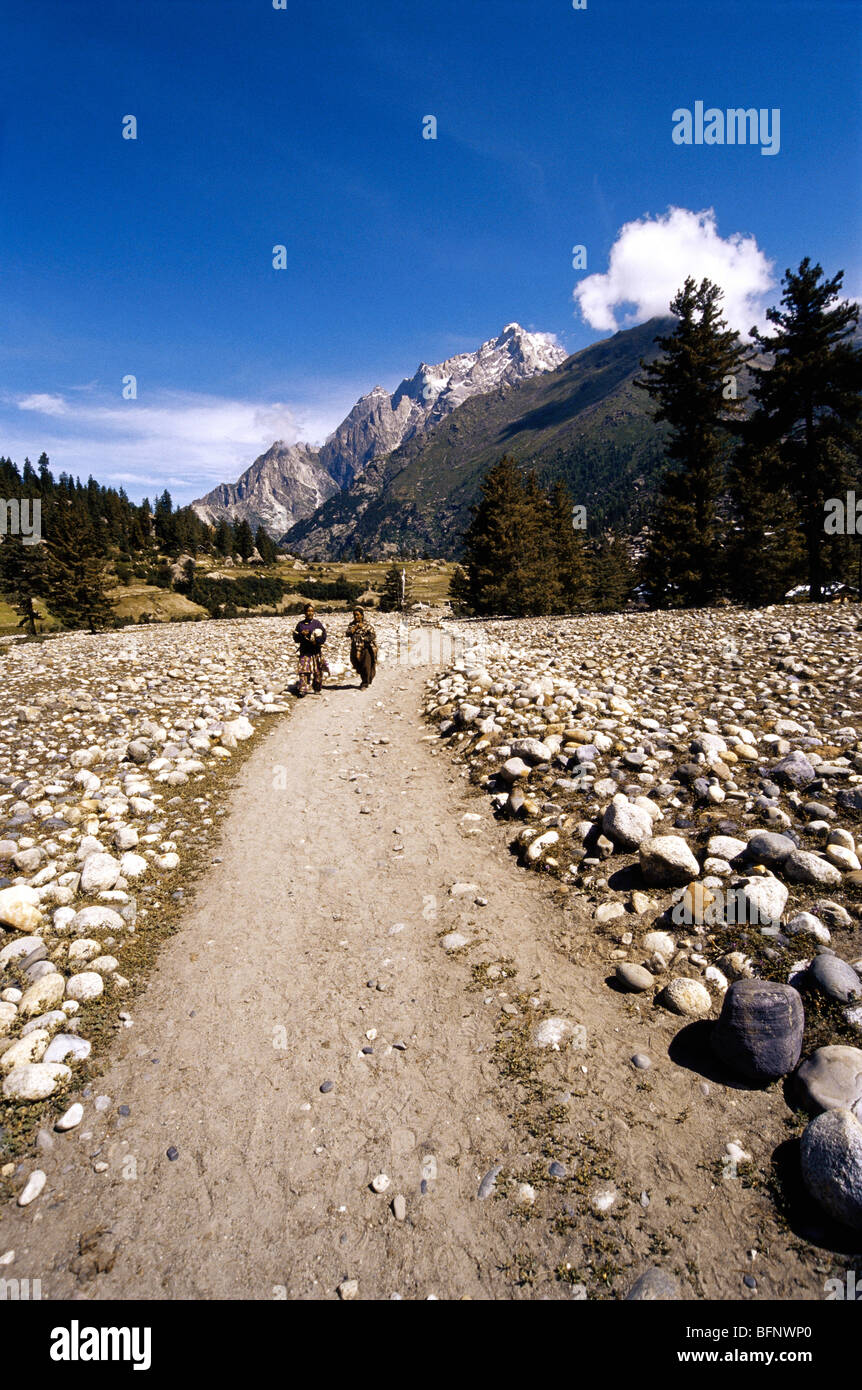 Trekking Raksham ; Sangla ; Kinnaur ; Himachal Pradesh ; India Stock ...