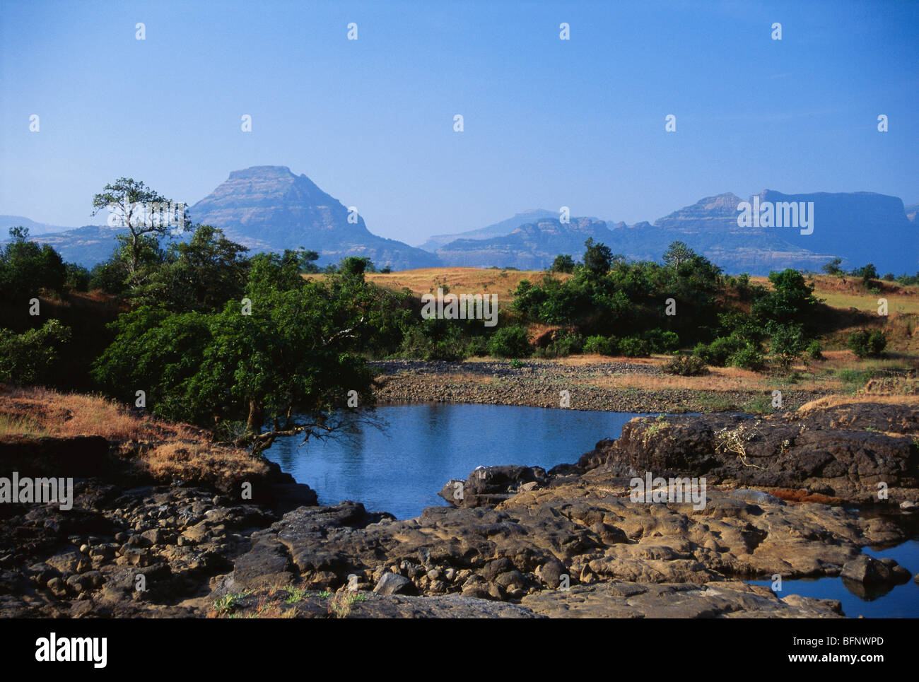 Landscape ; pond ; Malshej Ghat ; western ghats ; Maharashtra ; India ...