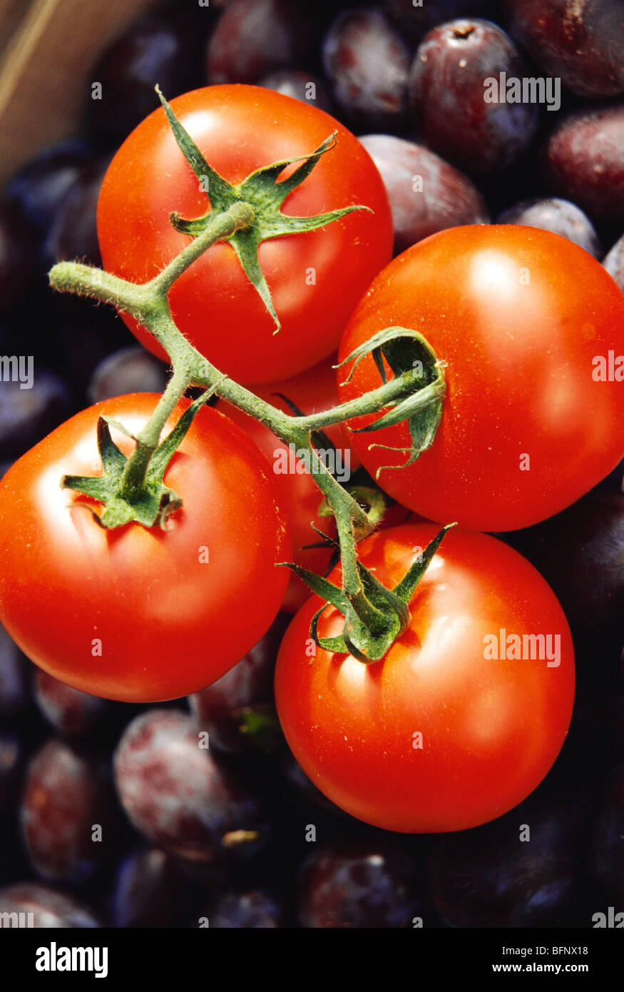 JSS 61726 : Vegetable ; four red tomatoes Stock Photo - Alamy
