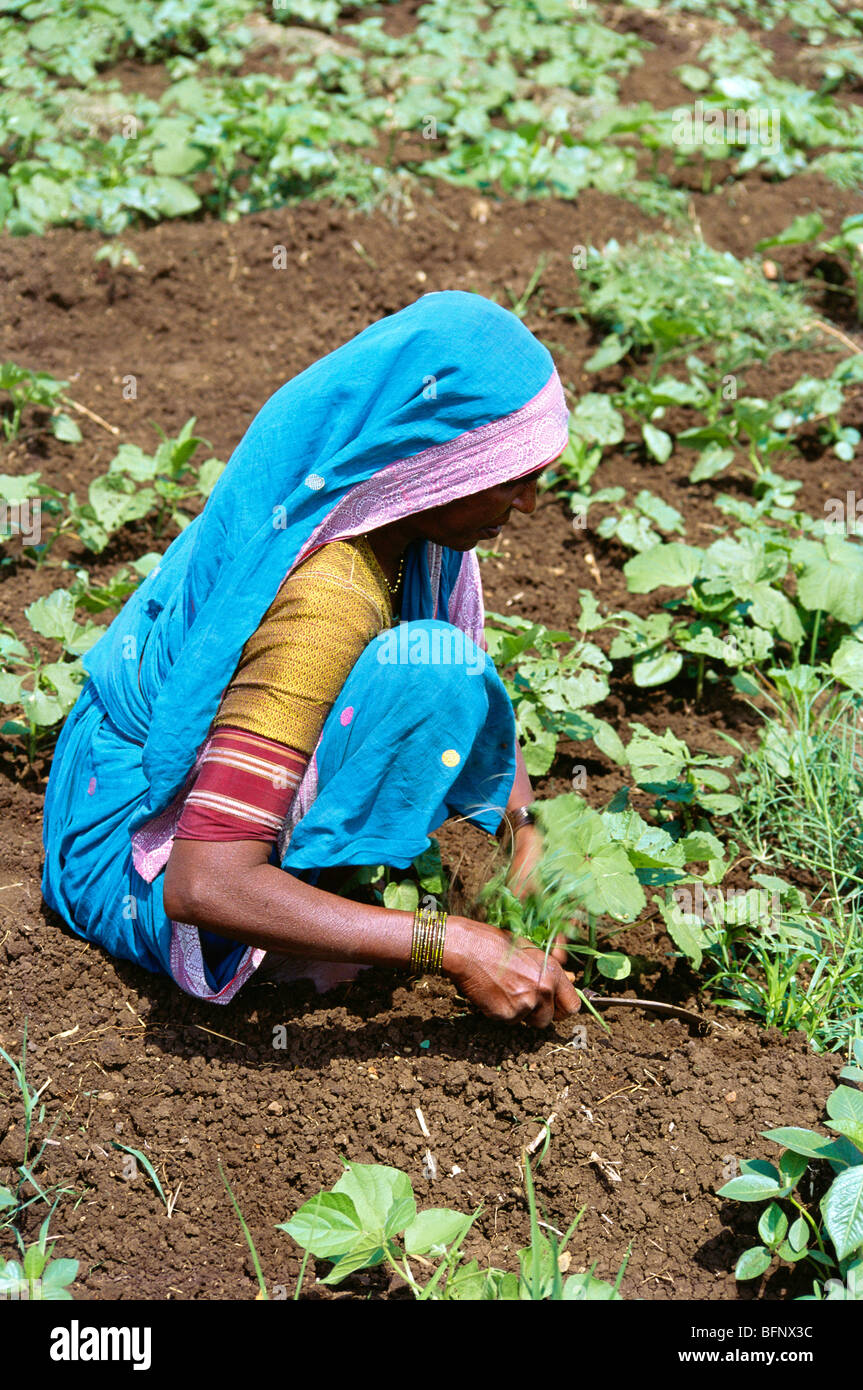 Indian weeding hi-res stock photography and images - Alamy