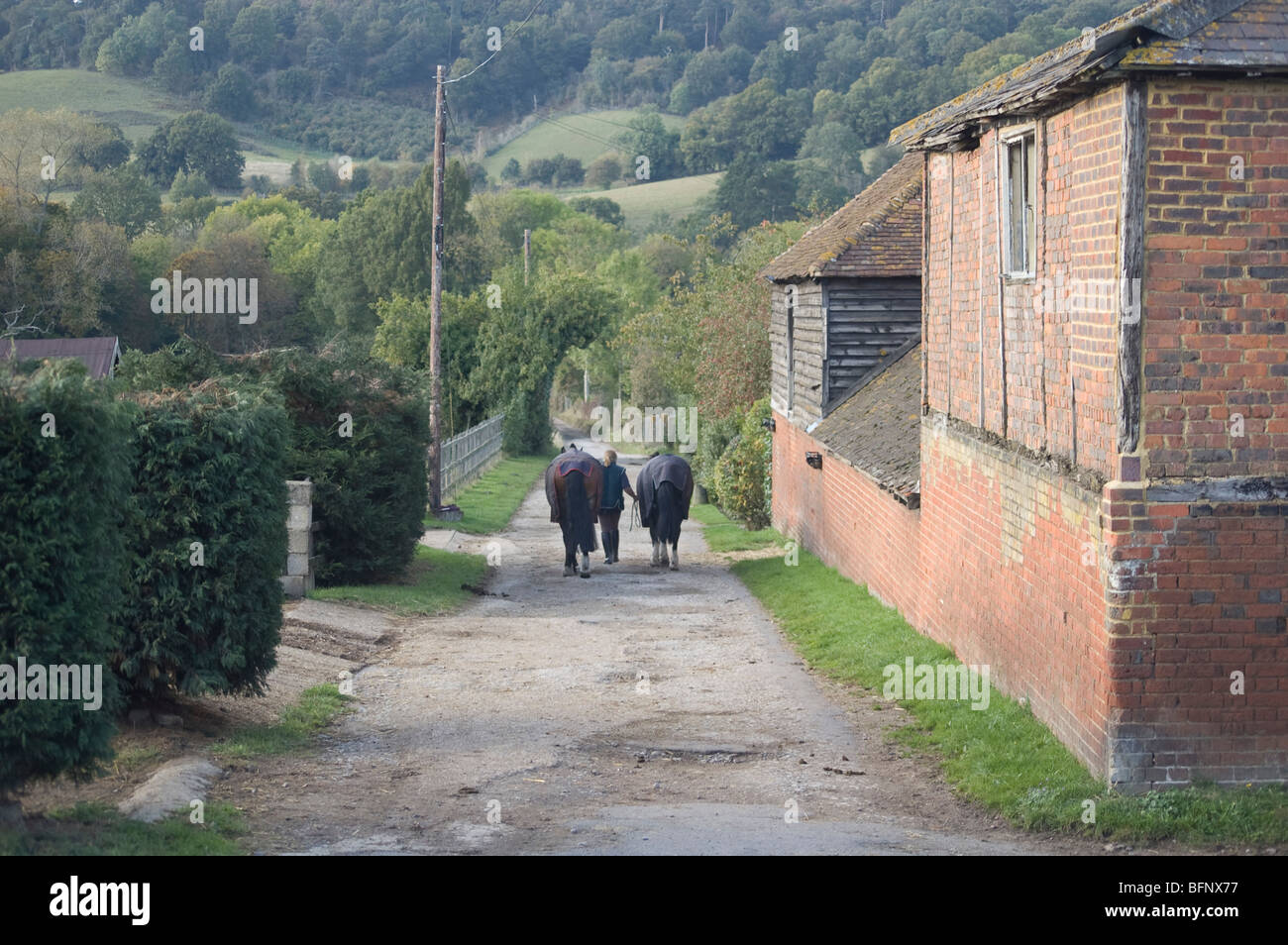 Equestrian way of life hi-res stock photography and images - Alamy