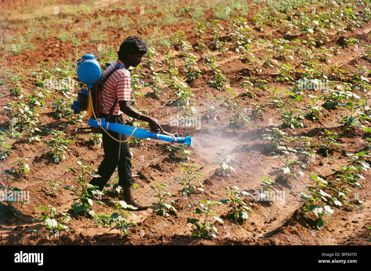 Farm india pesticide hi-res stock photography and images - Alamy
