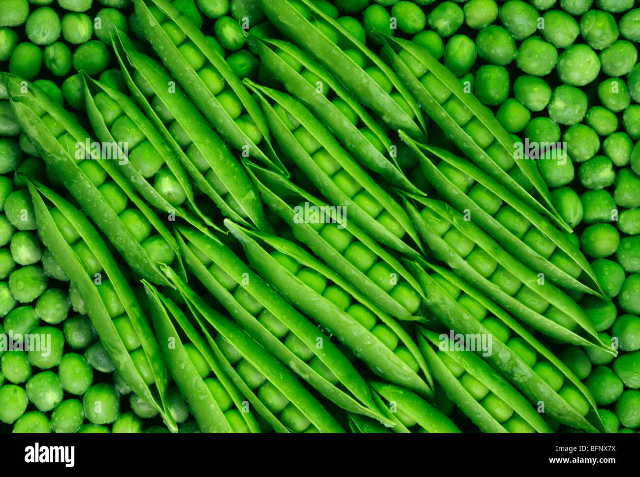 green peas vegetable in opened peapod Stock Photo - Alamy