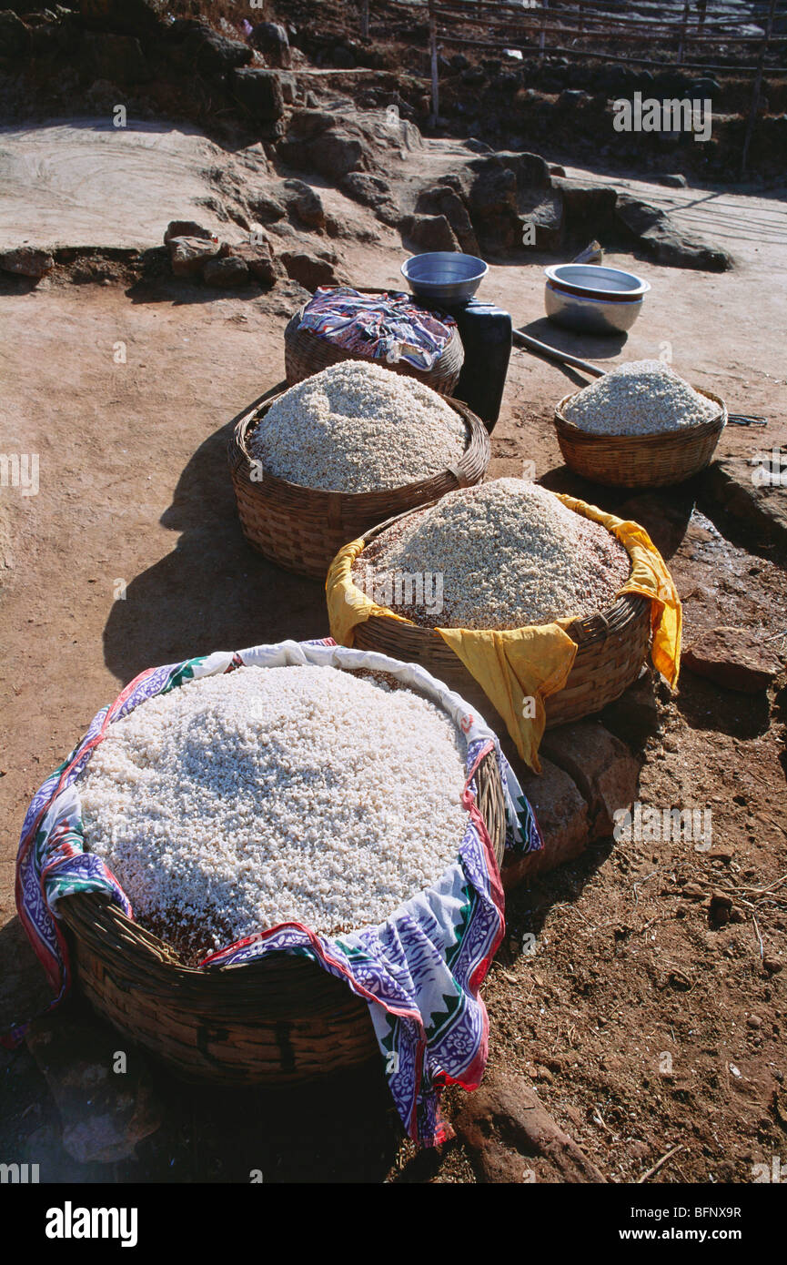 Rice drying ; Uttan ; Maharashtra ; India ; asia Stock Photo - Alamy