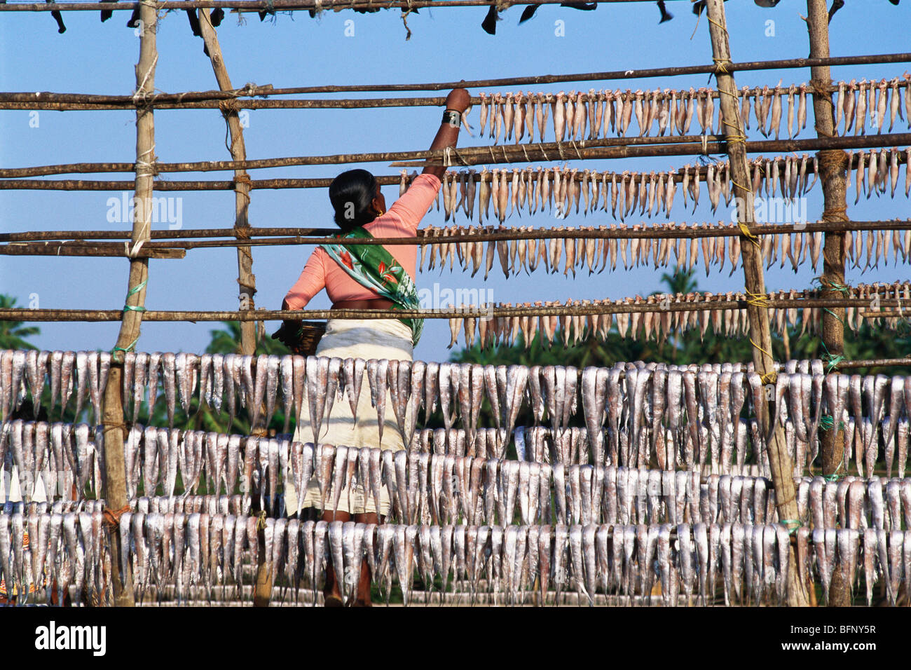 Alibaug food hi-res stock photography and images - Alamy