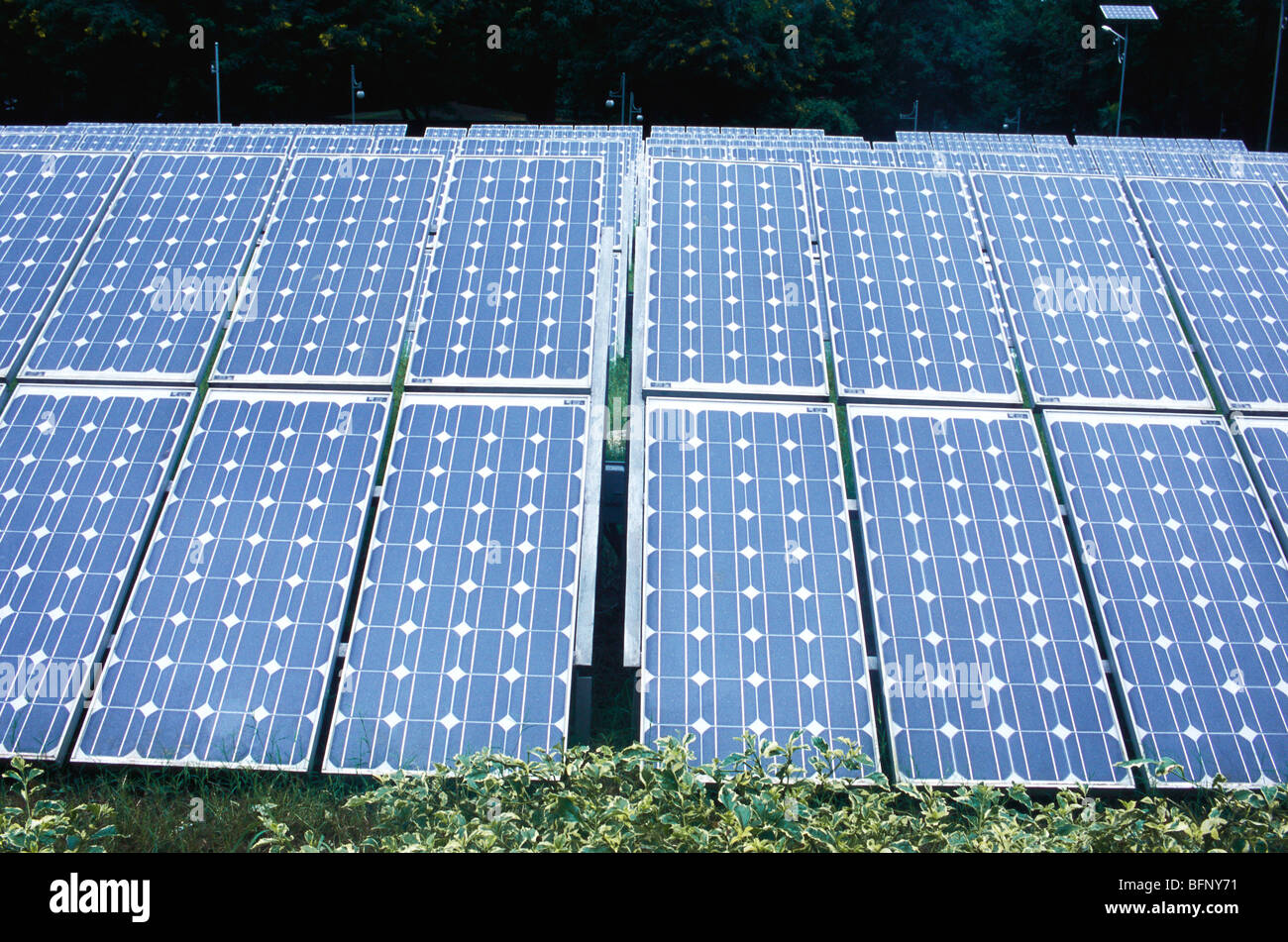 Solar panels for solar energy ; Energy Park ; Pune ; Maharashtra ...