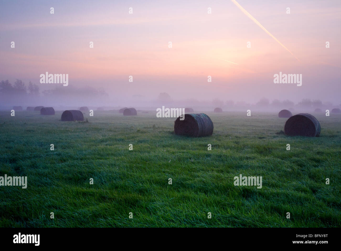 Mist Field Norfolk England High Resolution Stock Photography and Images ...