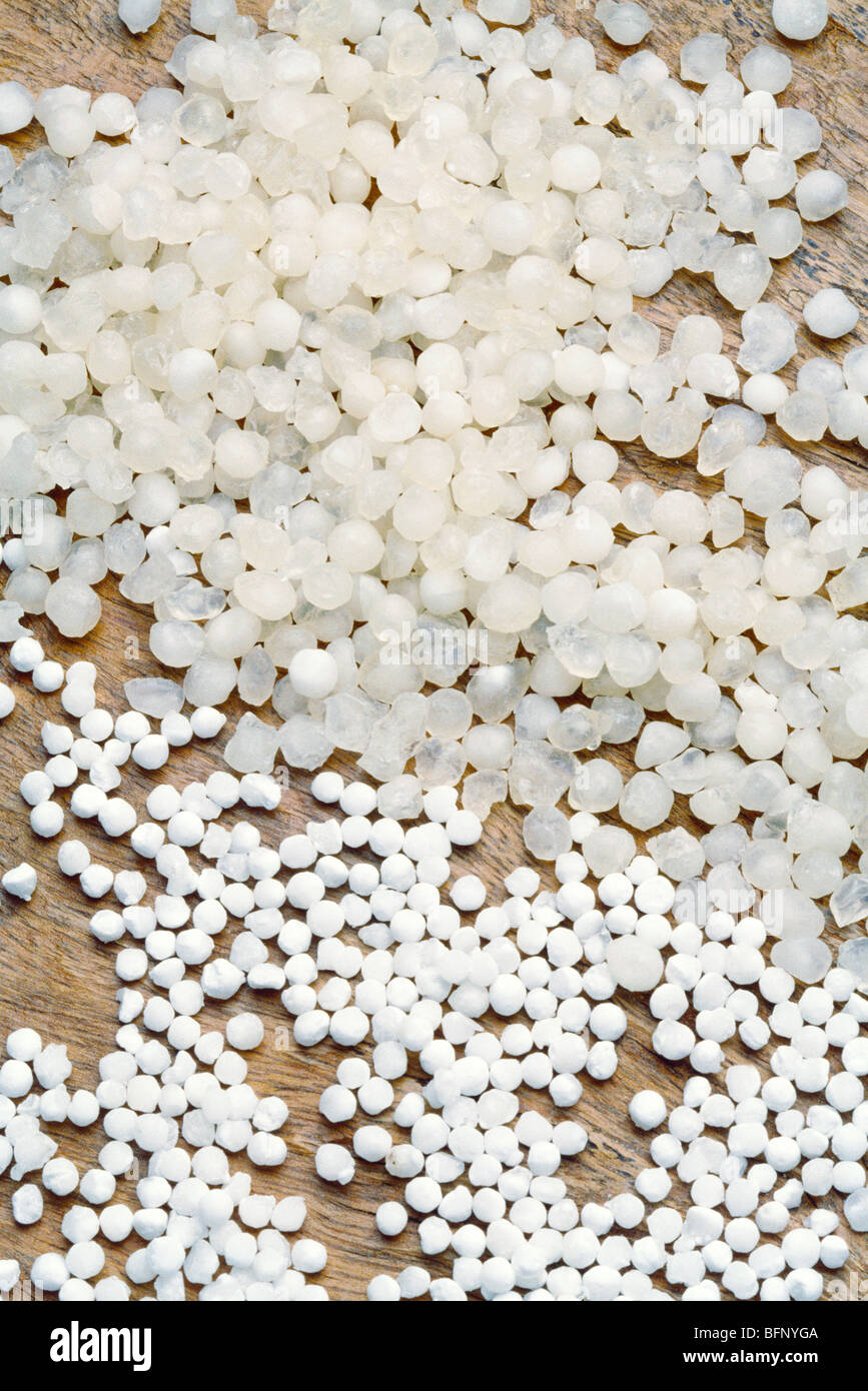 Indian sago hi-res stock photography and images - Alamy