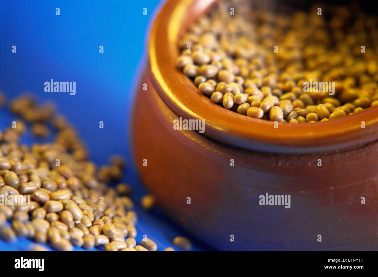 Moath hi-res stock photography and images - Alamy