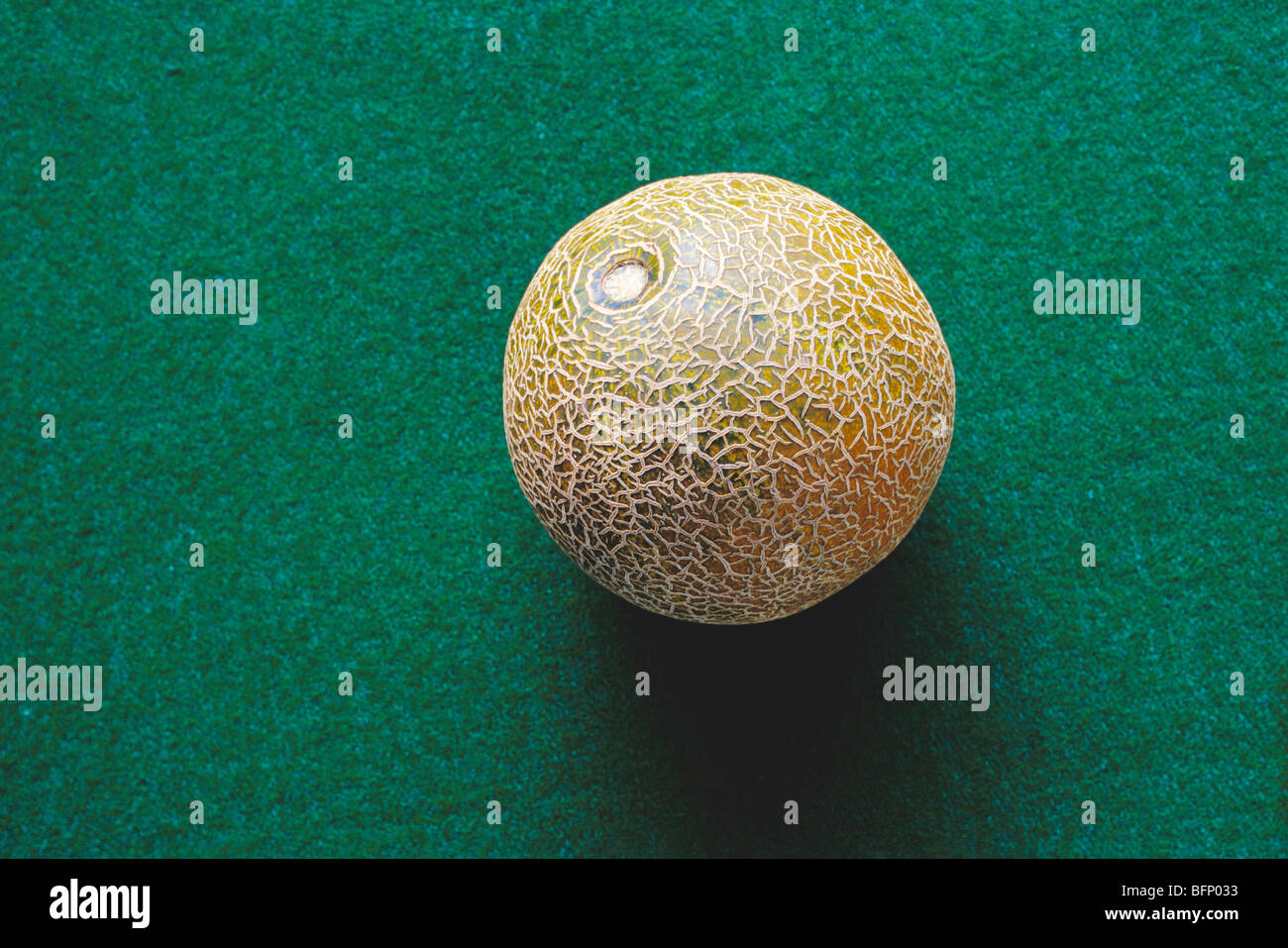 Indian Musk High Resolution Stock Photography and Images - Alamy