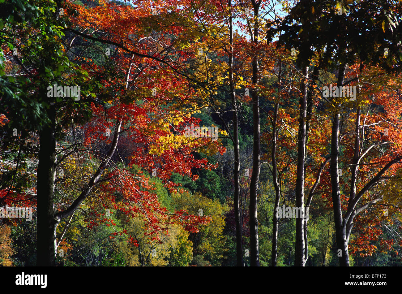 Red the united states america hi-res stock photography and images - Alamy