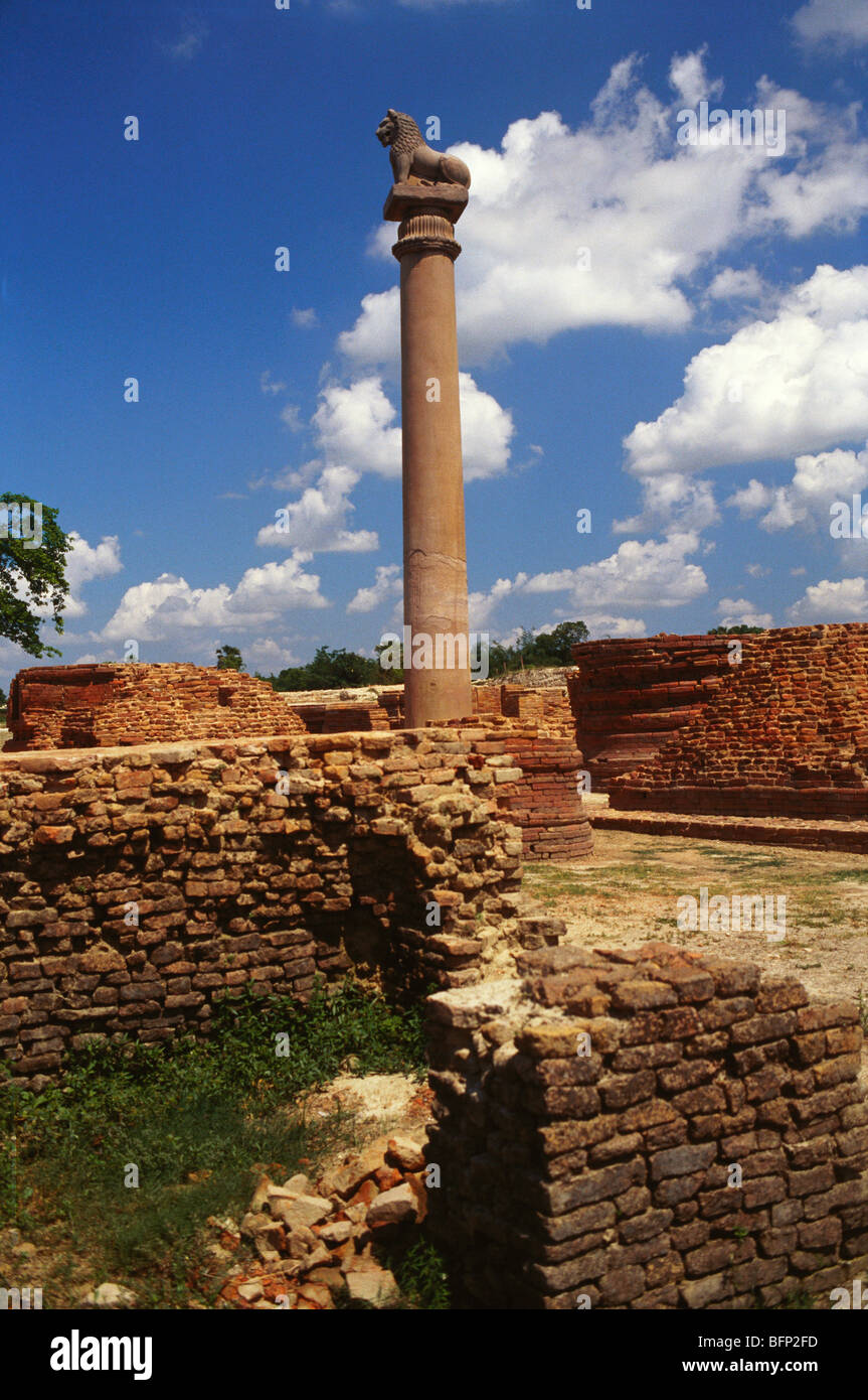 Pillar Capital At Vaishali