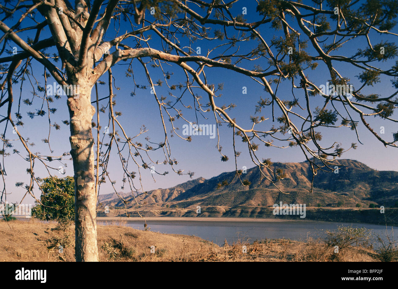 Mountains and river narmada river hi-res stock photography and images ...