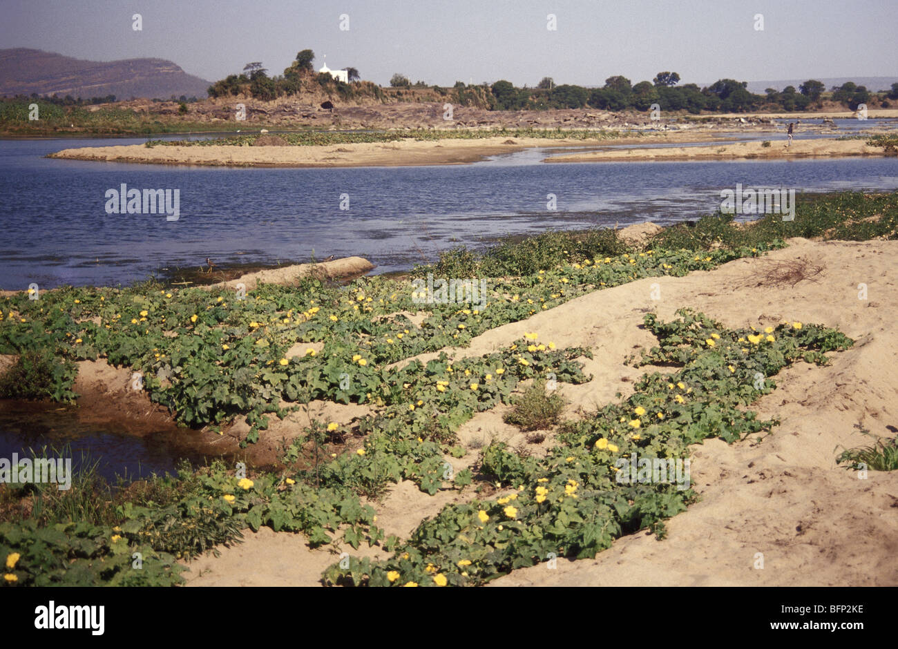 Narmada river ; Madhya Pradesh ; India Stock Photo - Alamy