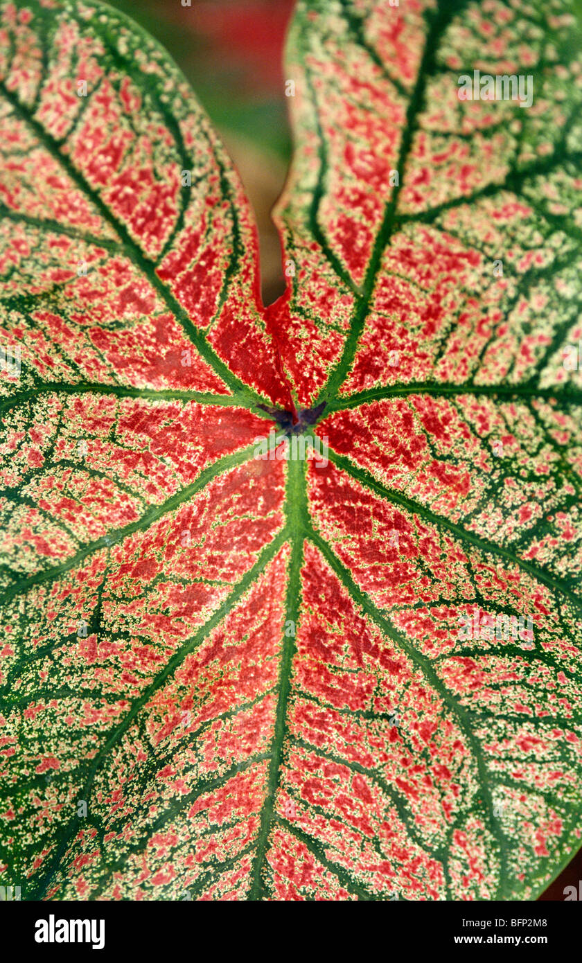 Connected paths hi-res stock photography and images - Alamy