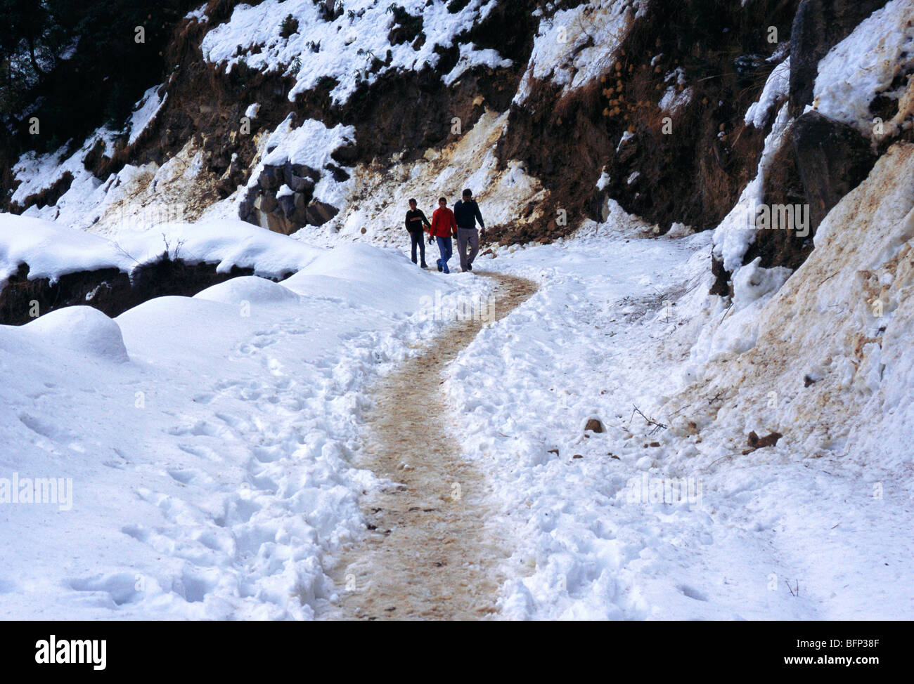 Snow path ; Khajjiar ; Chamba ; Himachal Pradesh ; India ; asia Stock ...