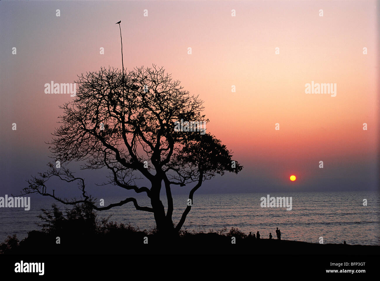 Sunset at Kappad beach near Calicut ; Kozhikode ; Kerala ; India Stock ...