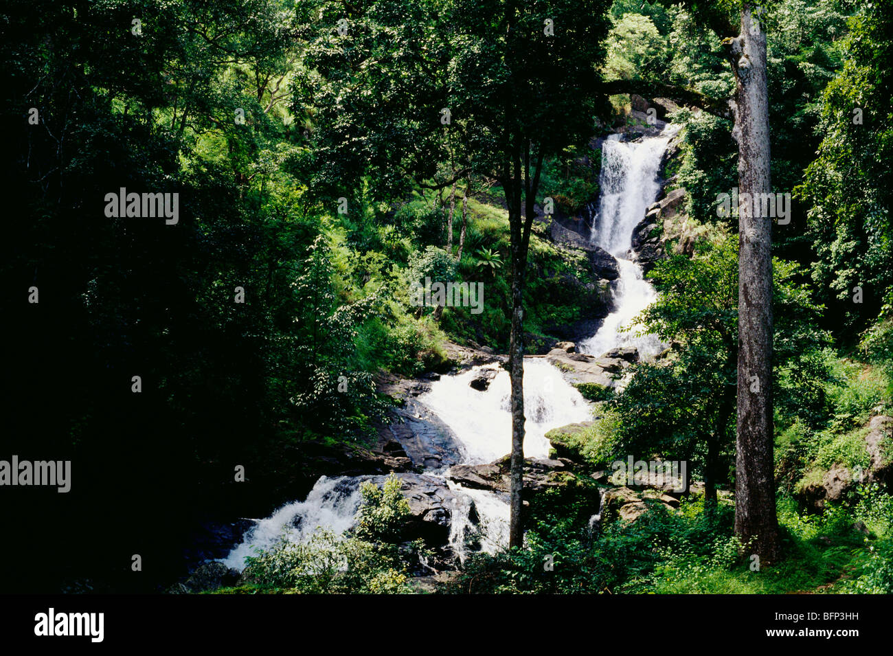 Irupu Water Falls ; Iruppu Falls ; Irpu falls ; Coorg ; Kodagu ...
