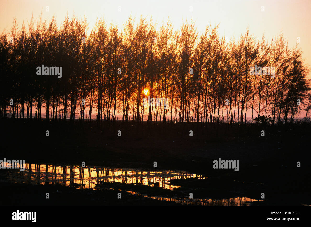 MMN 63431 : Sunset at Devka beach ; Nani Daman ; Daman UT ; India Stock ...