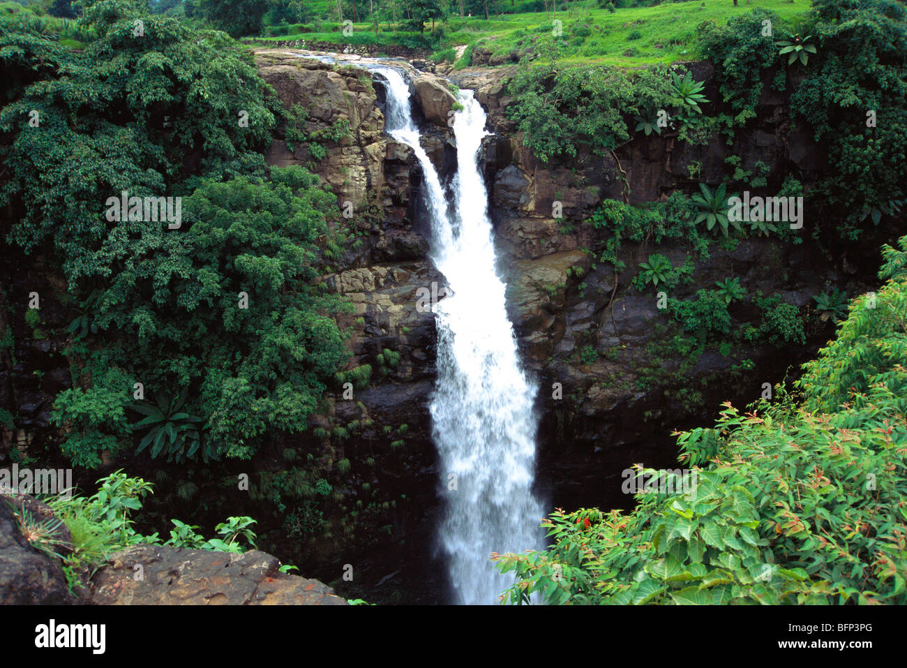 Randha falls of Pravara river ; Bhandardara near Igatpuri ; Western ...