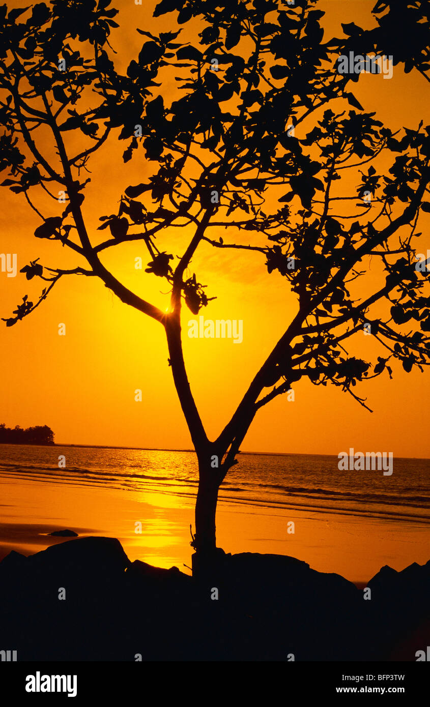NMK 63426 : Colourful sunset at Mandwa beach ; Maharashtra ; India ...
