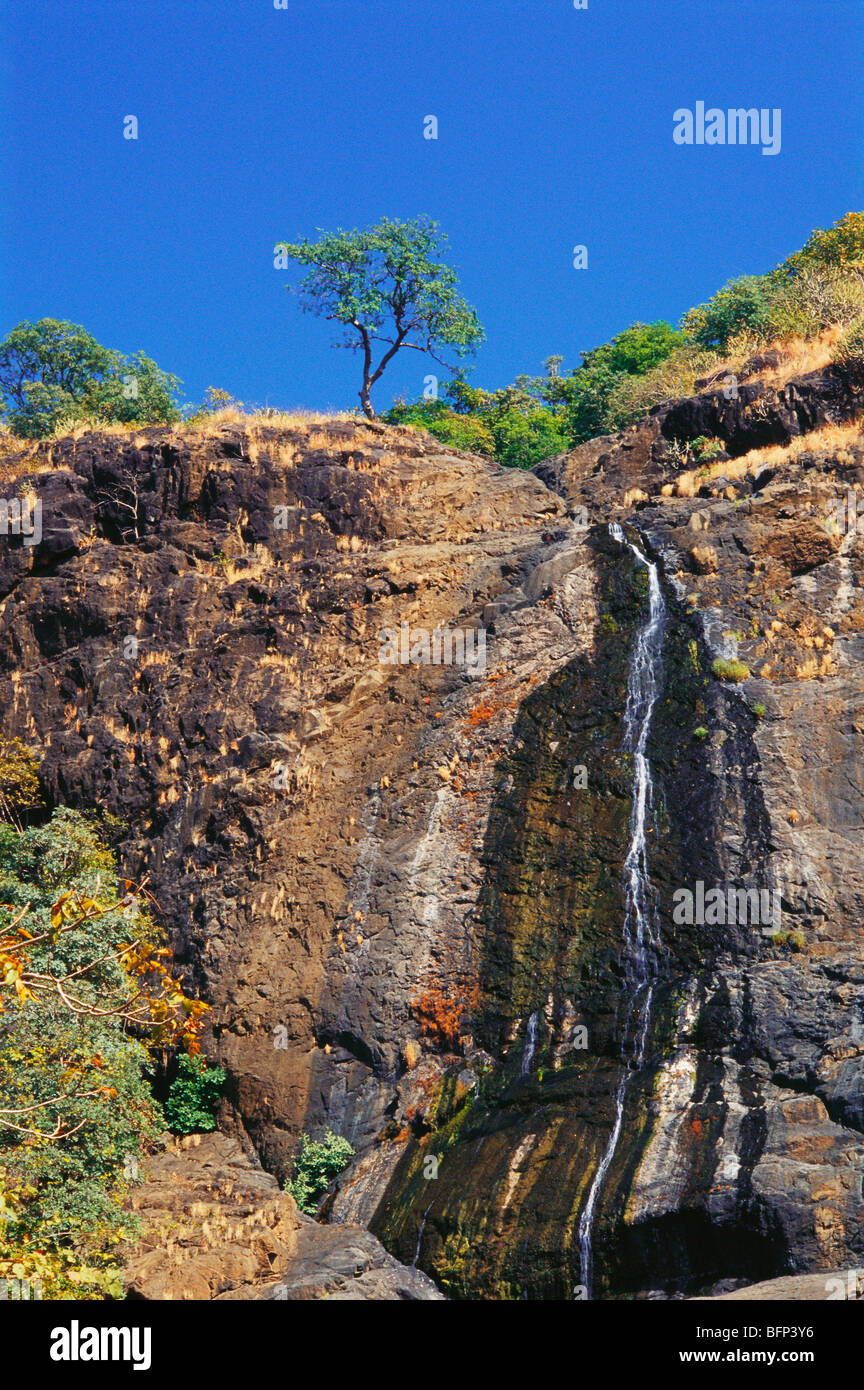 Chinchoti waterfalls ; Kaman village ; Maharashtra ; India ; asia Stock ...