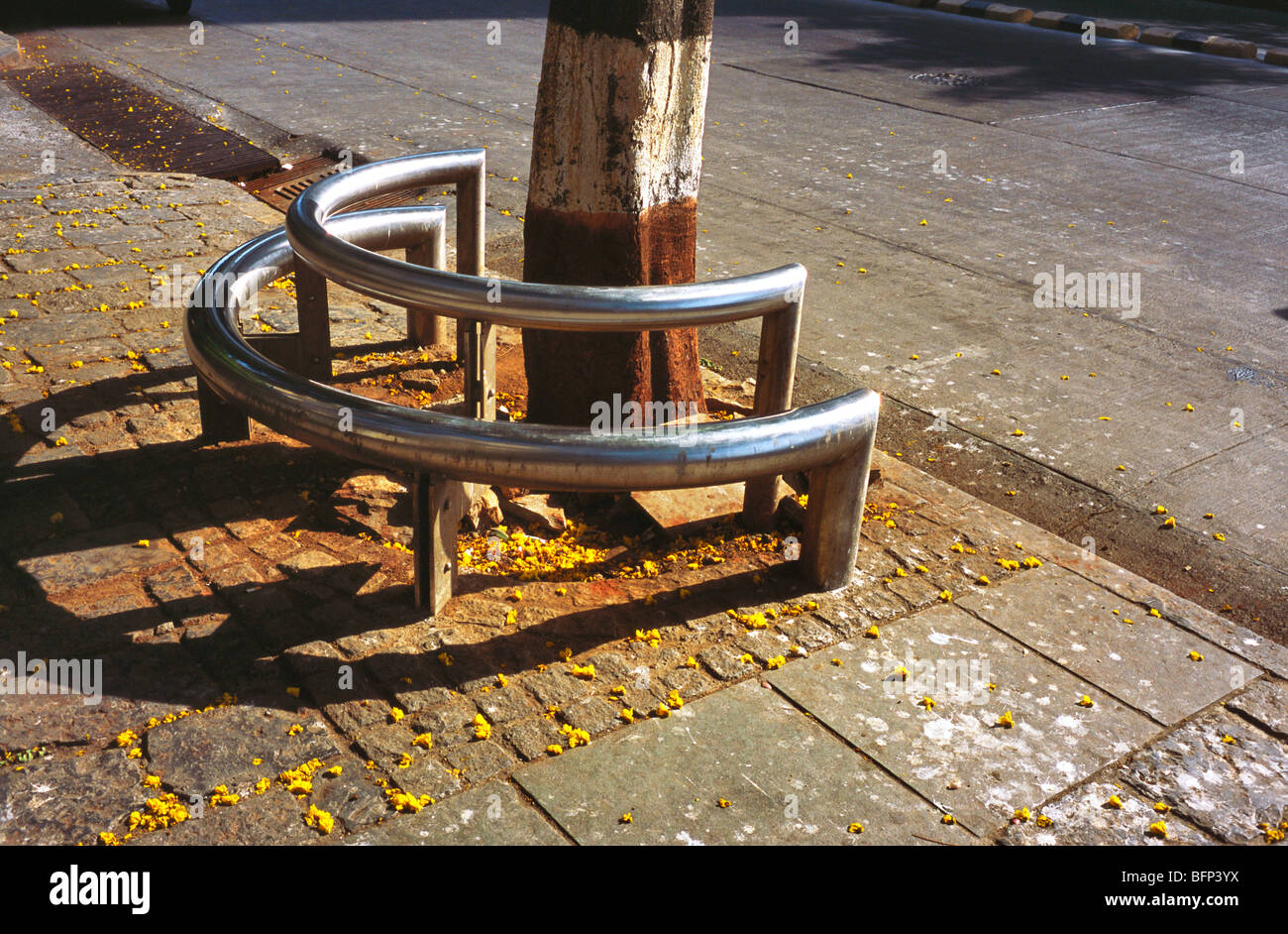 STP 63408 : Construction trees for sitting ; Bombay Mumbai ...