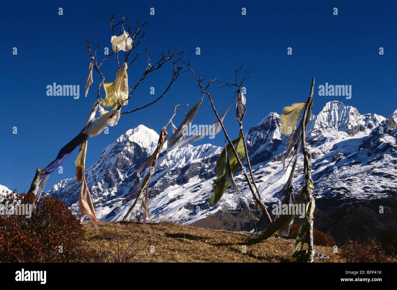 Mount Pandim behind prayer flags ; Deorali ; Dzongri trek ; Sikkim ...