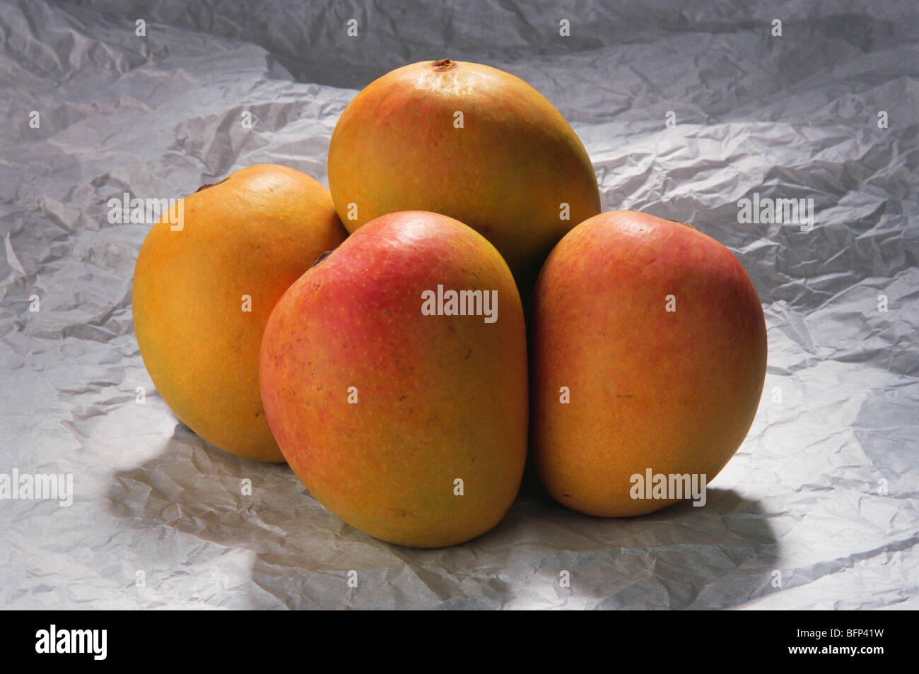 Mango fruit ; India ; asia Stock Photo - Alamy