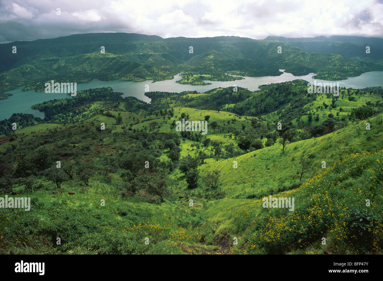 Monsoon greenery western ghats ; Mahabaleshwar ; Maharashtra ; India ...