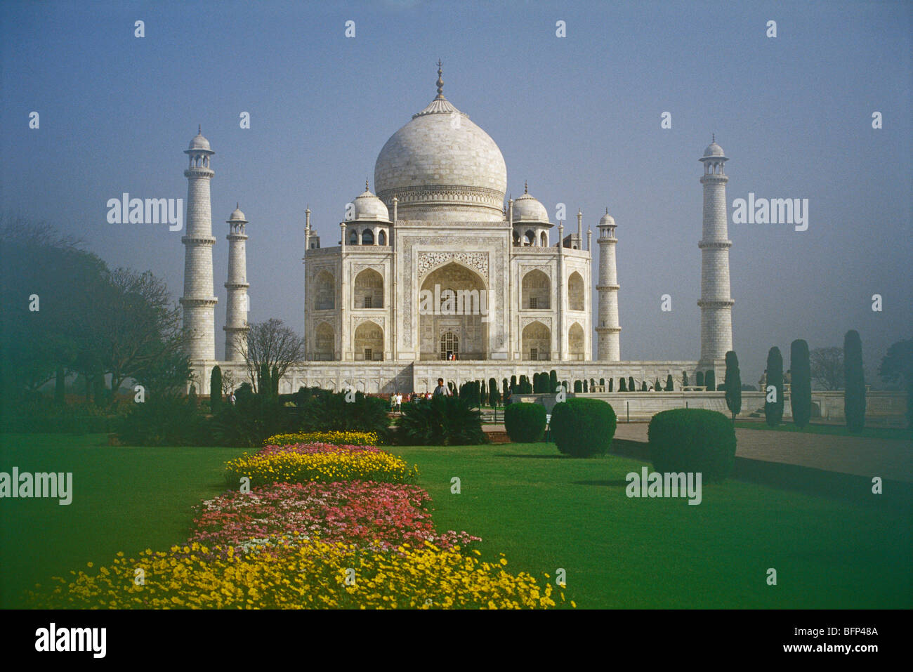 Taj Mahal with flowers ; ivory white marble mausoleum ; Agra ; Uttar ...