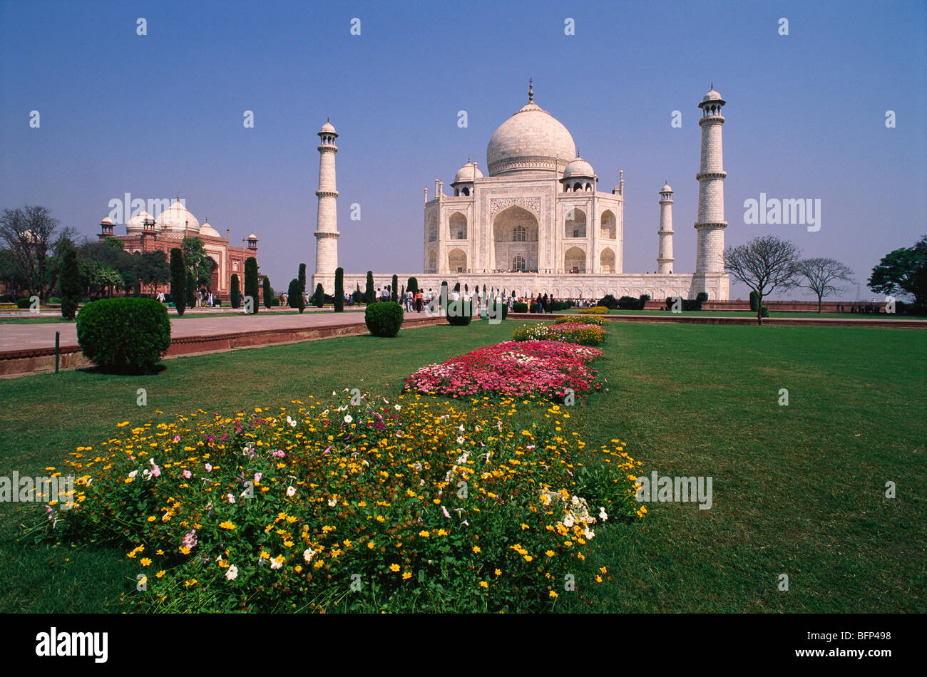 Taj Mahal with flowers ; ivory white marble mausoleum ; Agra ; Uttar ...